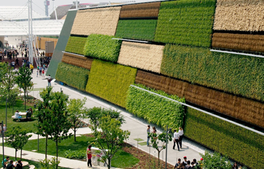 Peres Center for Peace & Innovation | VERTICAL FIELD